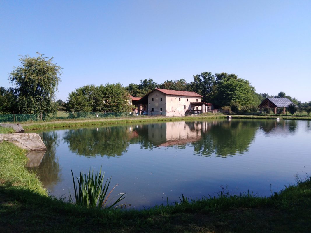 Parco del Ticino Piemontese: una varietà di ambienti, ricchi di ...
