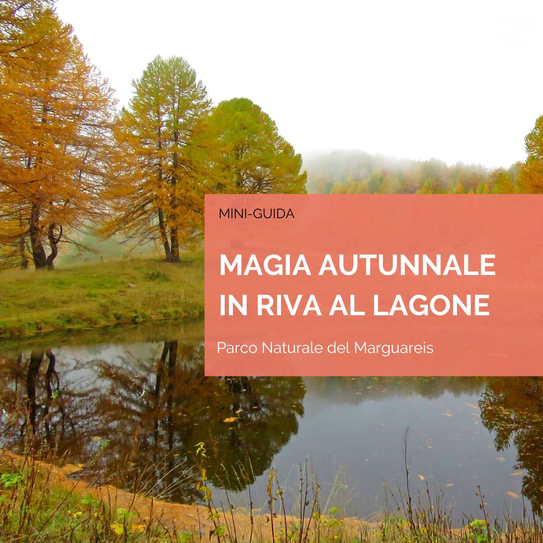 Lagone in Valle Tanaro: la magia dell'autunno nel Bosco delle Navette